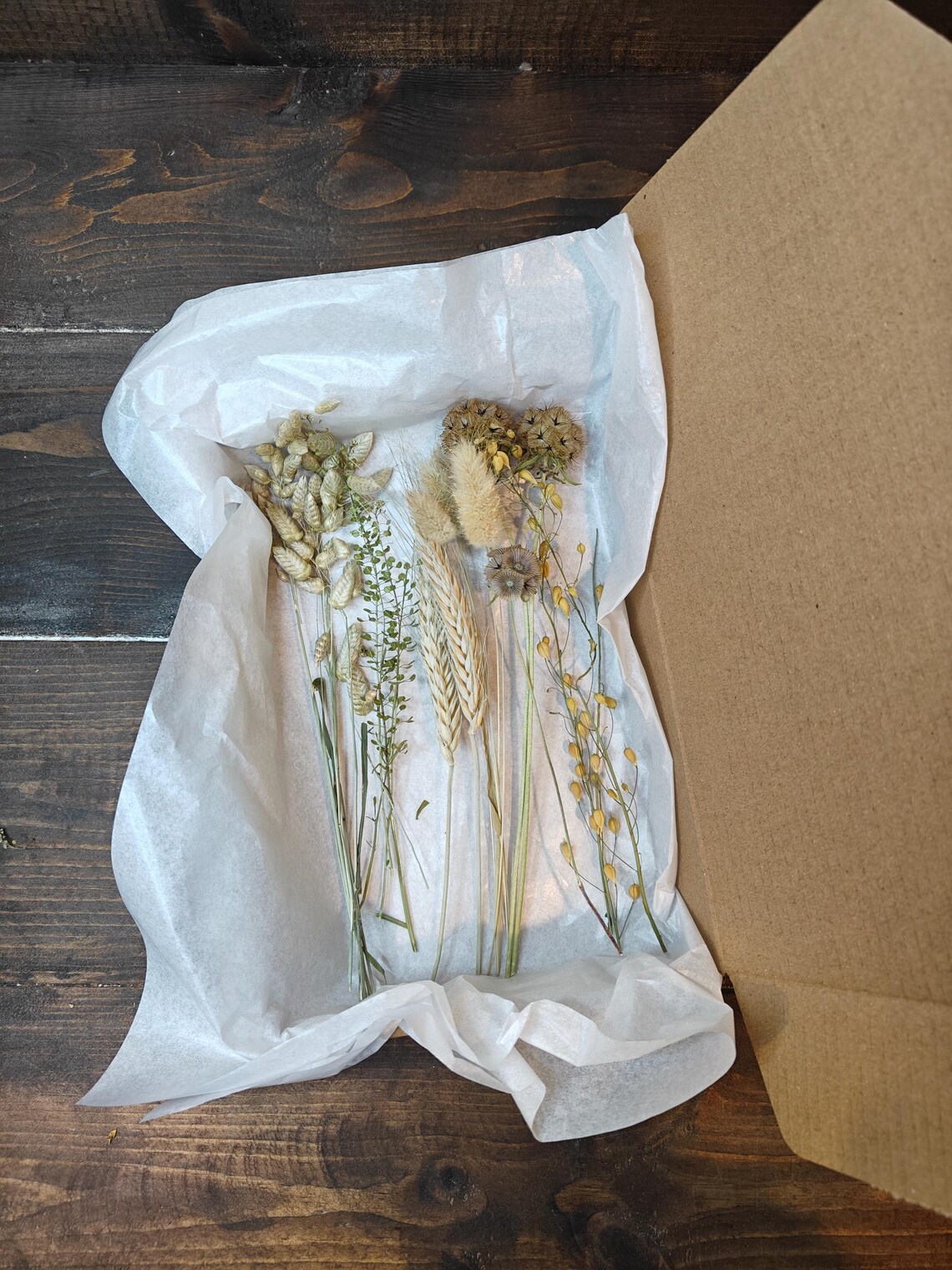 25 Stems Greenery/filler Dried Flower Craft Box - DIY Preserved Florals ...