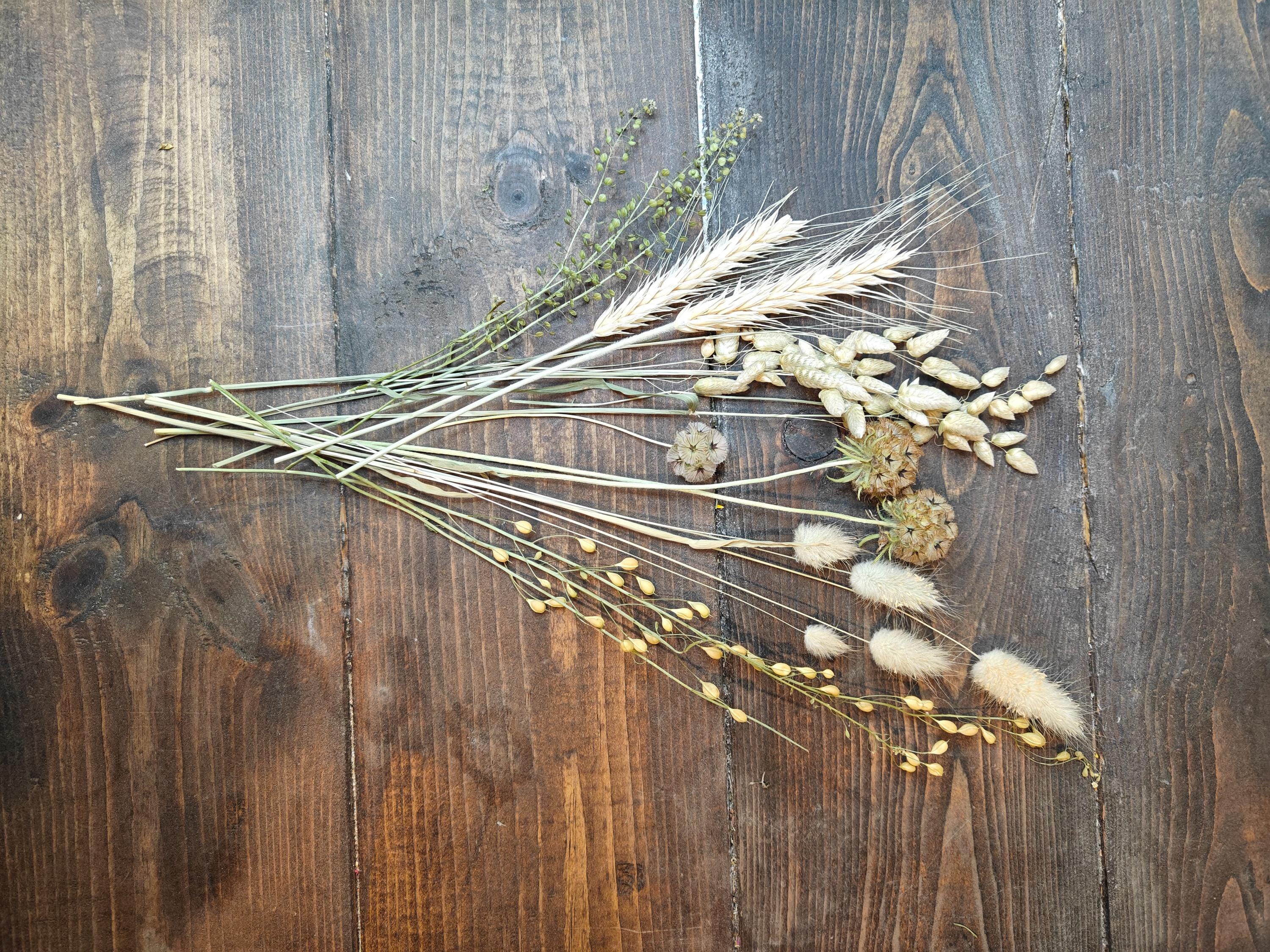 25 Stems Greenery/filler Dried Flower Craft Box - DIY Preserved Florals ...