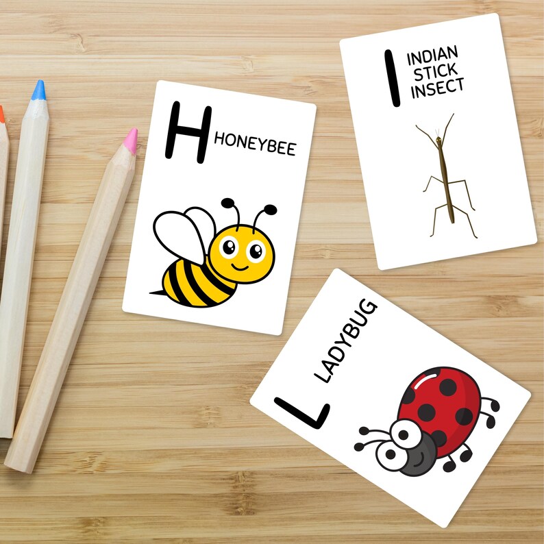 26 Insects ABC Printable Flashcards. Insects Alphabet Flash Cards for ...