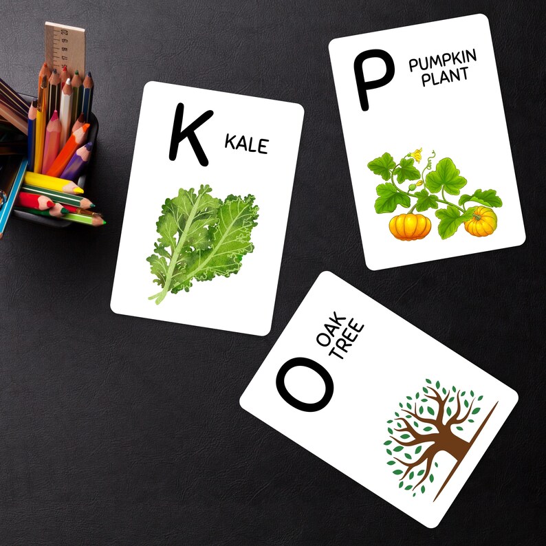 26 Plants Printable Flash Cards - Montessori Nature Learning ...