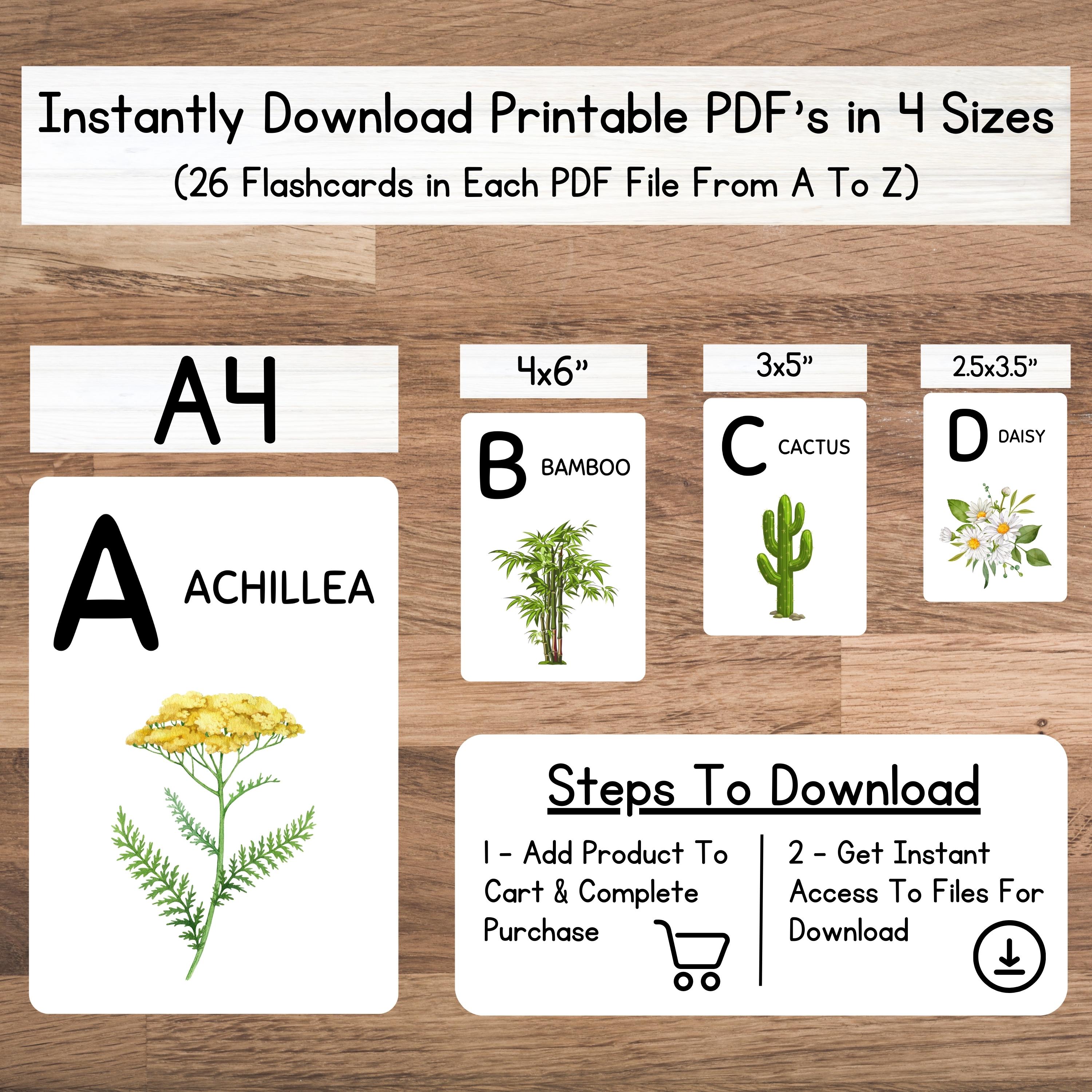 26 Plants Printable Flash Cards - Montessori Nature Learning ...