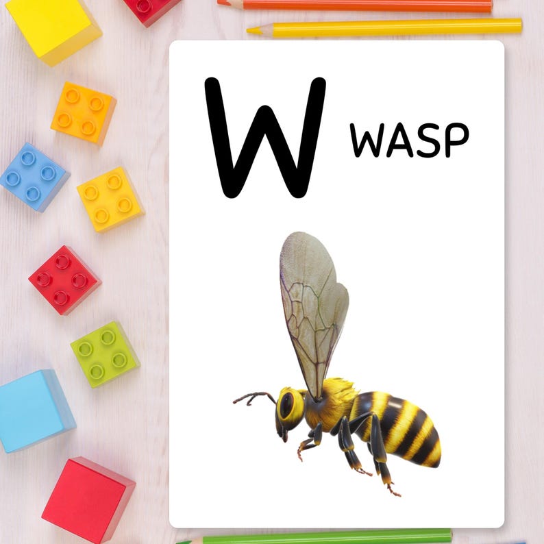 26 Insects ABC Printable Flashcards. Insects Alphabet Flash Cards for ...