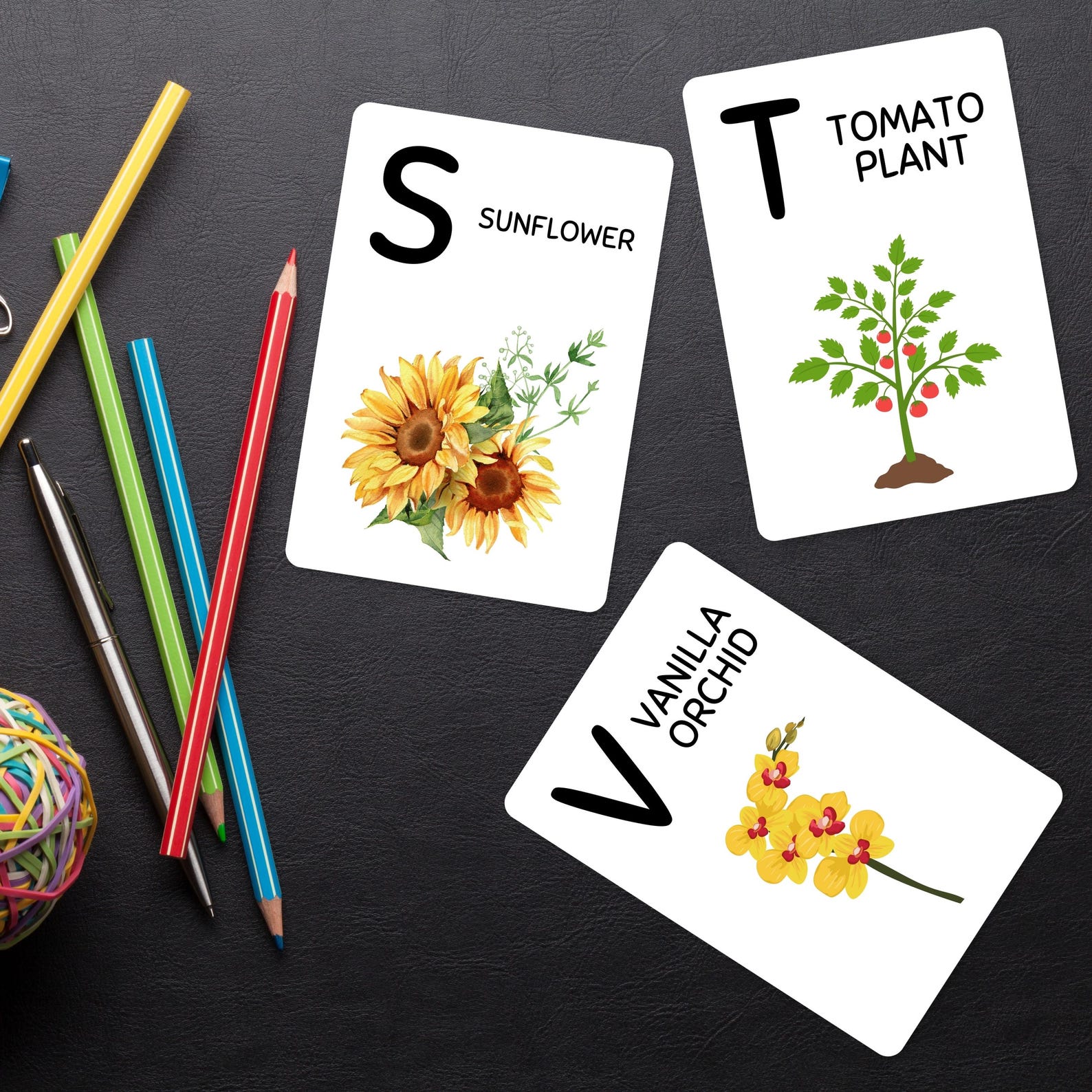 26 Plants Printable Flash Cards - Montessori Nature Learning ...