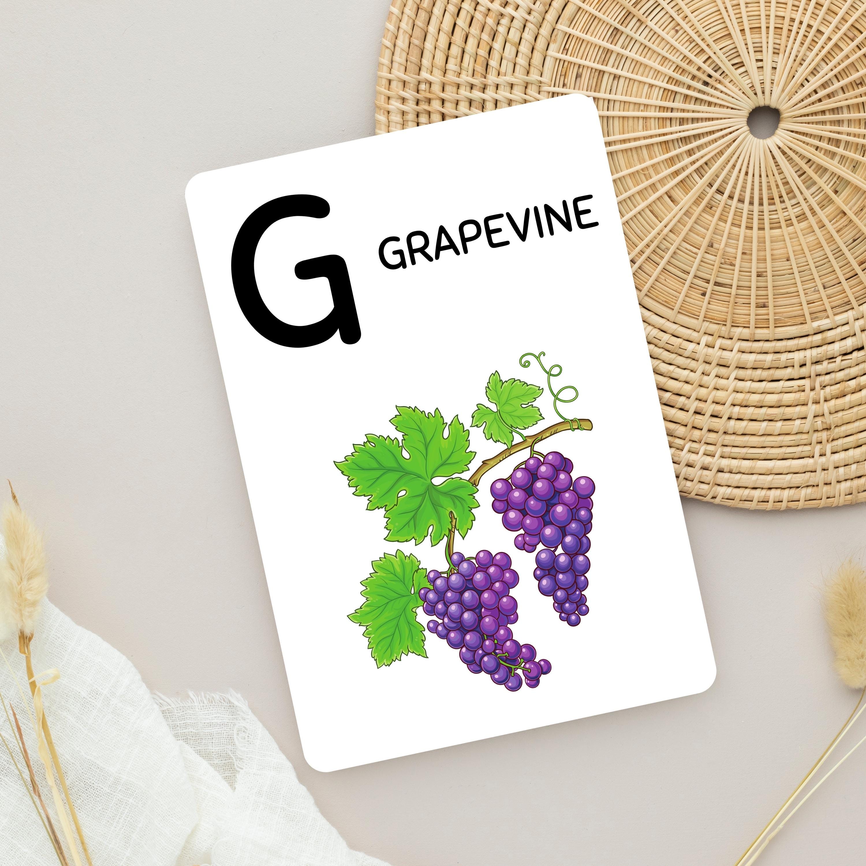 26 Plants Printable Flash Cards - Montessori Nature Learning ...