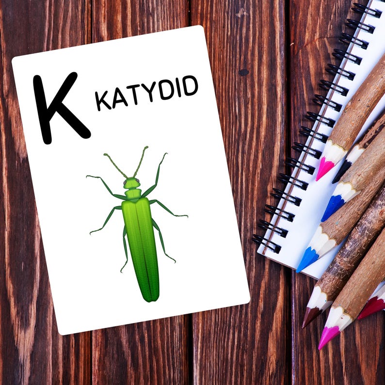 26 Insects ABC Printable Flashcards. Insects Alphabet Flash Cards for ...