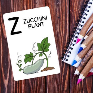 26 Plants Printable Flash Cards - Montessori Nature Learning ...