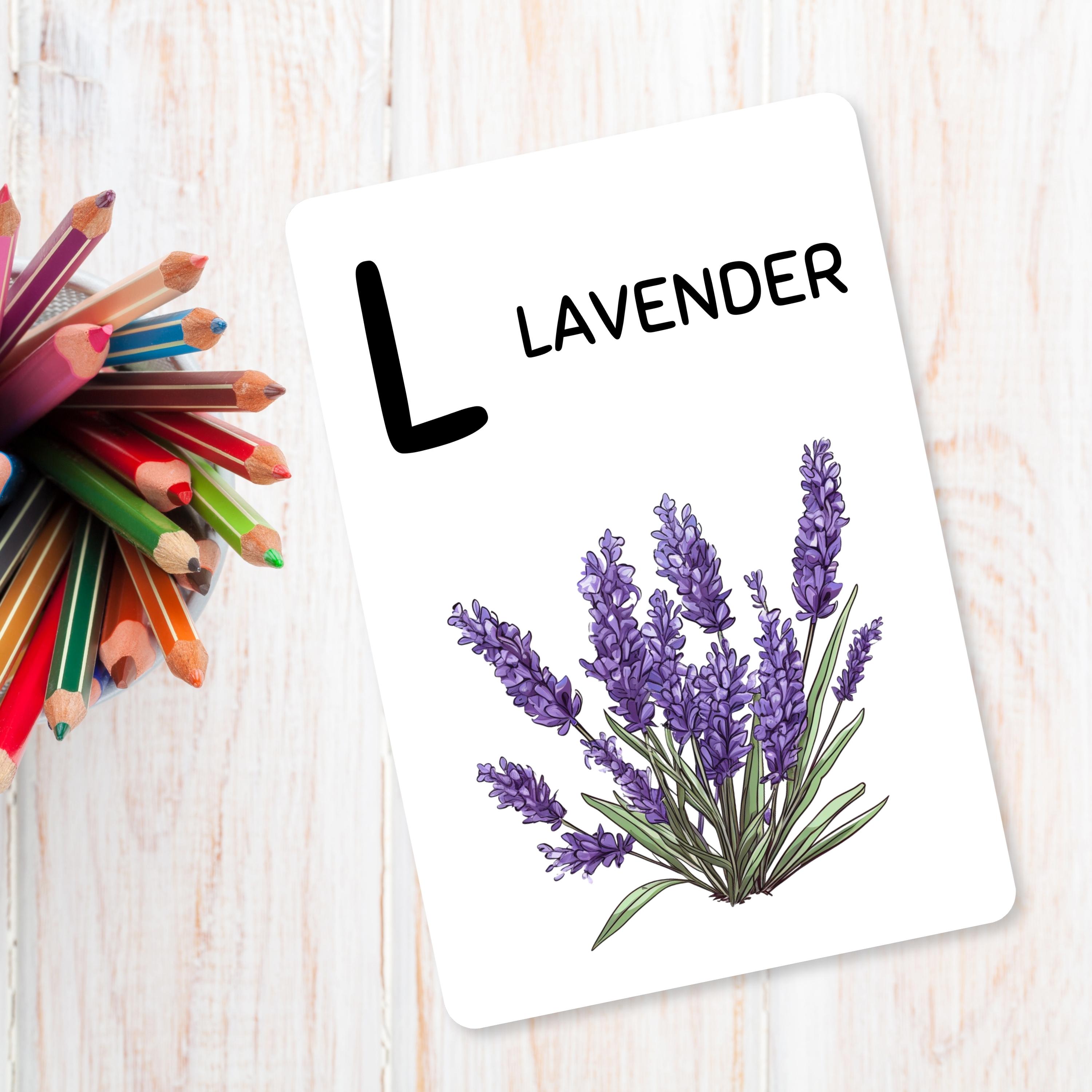 26 Plants Printable Flash Cards - Montessori Nature Learning ...