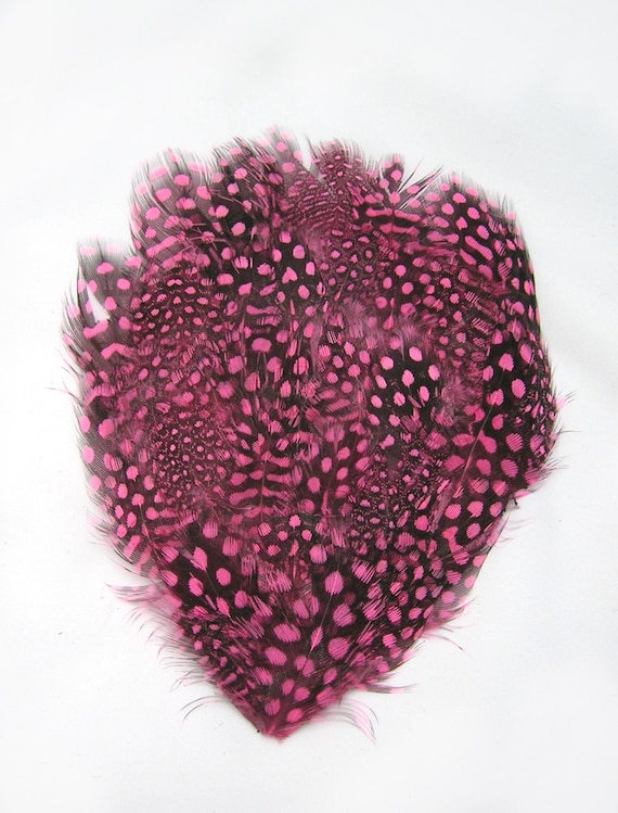 Pink Spotted Guinea Hen Feather Pad 3 Packages DIY | Etsy