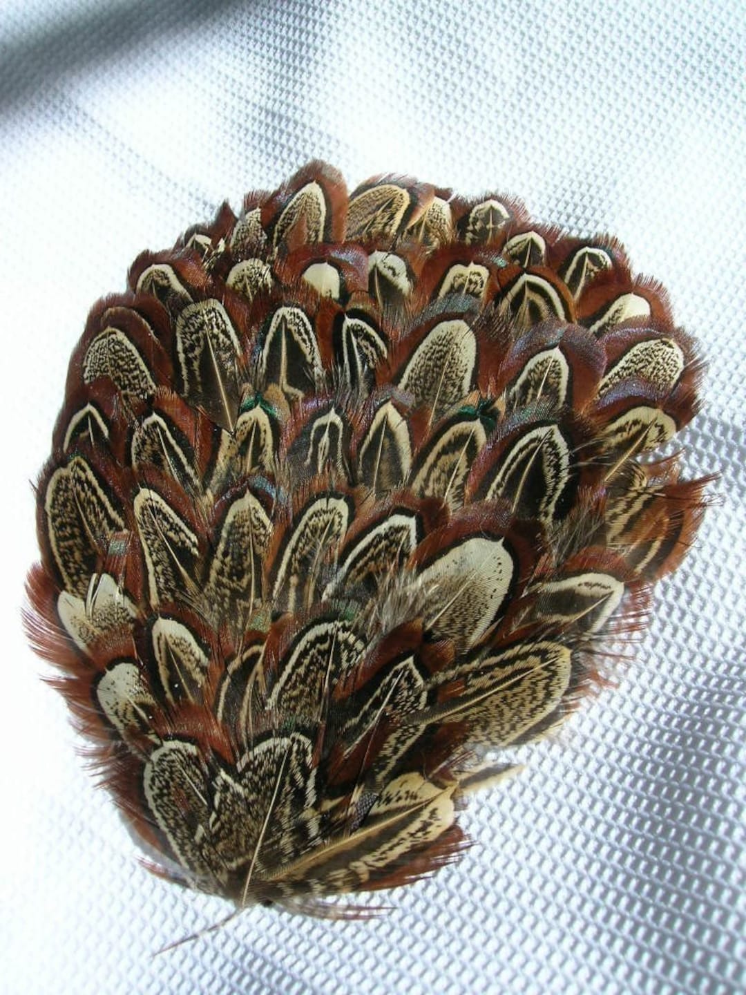 NATURAL Brown Almond Feather Pad Applique (3 Package Option) Craft DIY ...