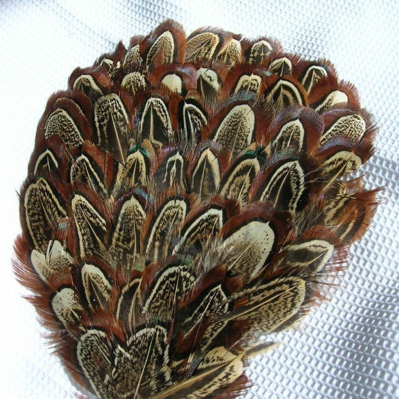 Feather Hat Applique - Etsy