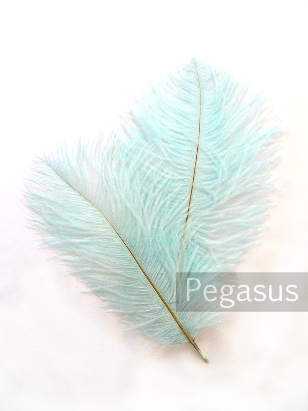 Baby Blue Ostrich Feathers, Cruelty Free Drabs, 6-8 Inch - Etsy