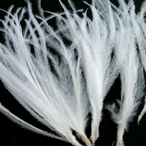 WHITE Ostrich Feather Spray 3 Package Size Cruelty Free DIY Feathers ...