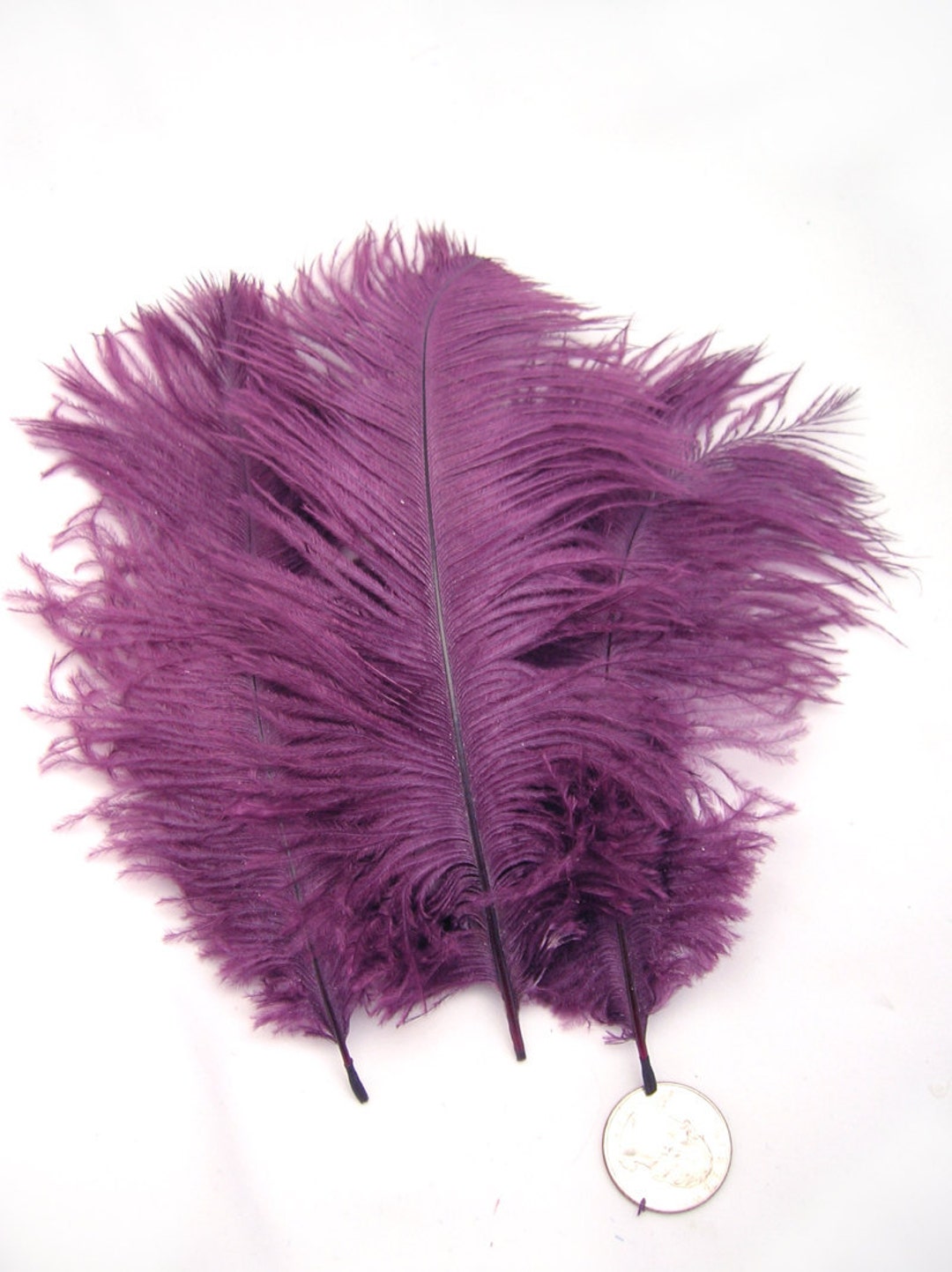 GRAPE PURPLE Ostrich Feather Drab (6-8 Inches, 3 Package Option ...
