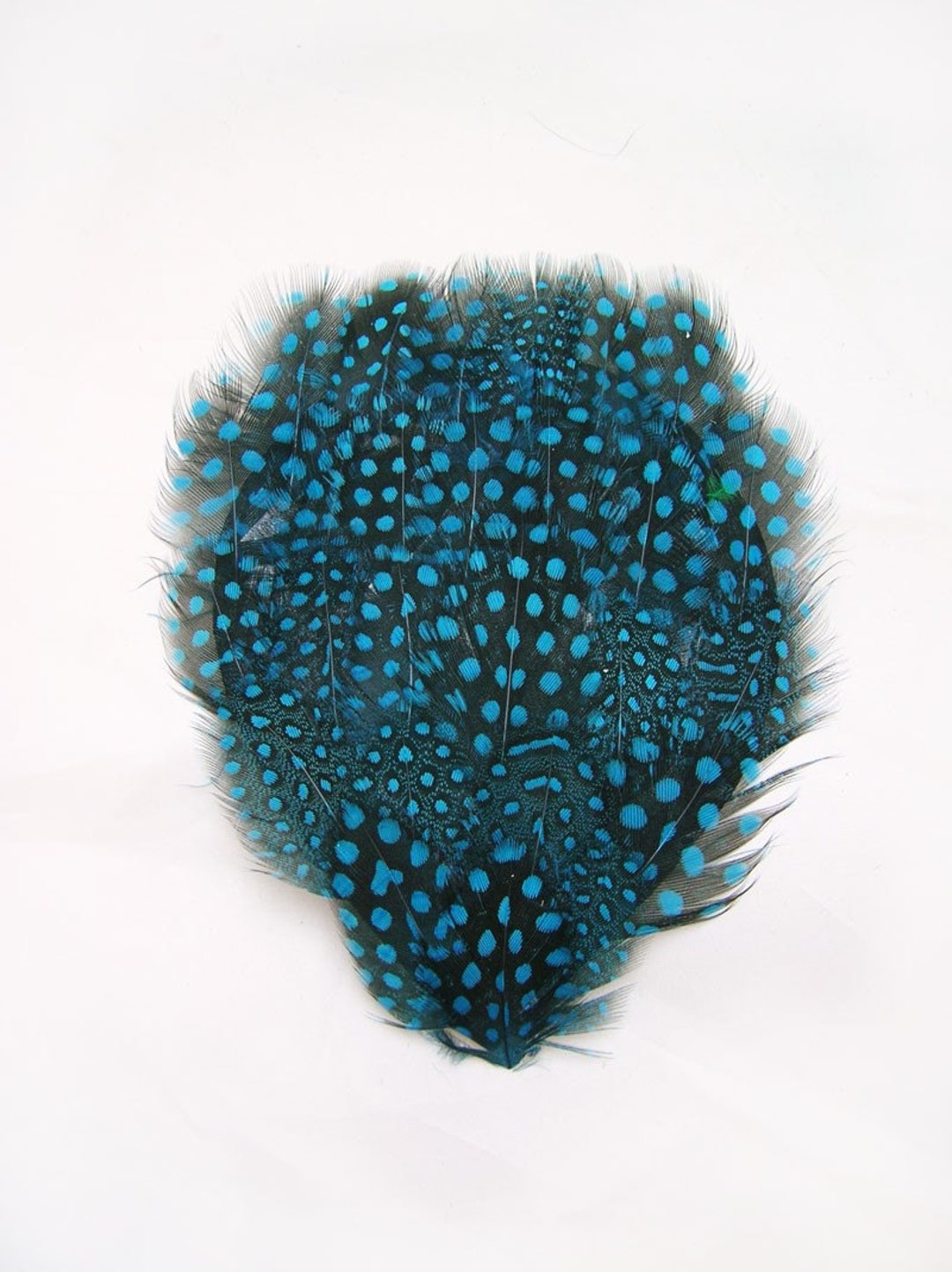 Blue Spotted Guinea Hen Feather Pad (3 Packages) DIY Millinery,mask ...