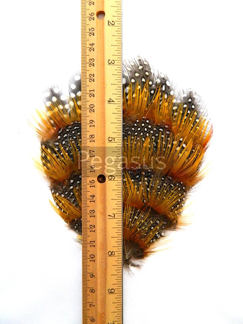 NATURAL Ivory Badger Feather Pad Applique. DIY Craft Item for Millinery ...
