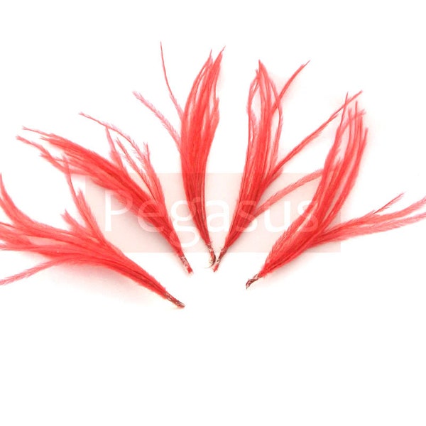 Feather Spray - Etsy