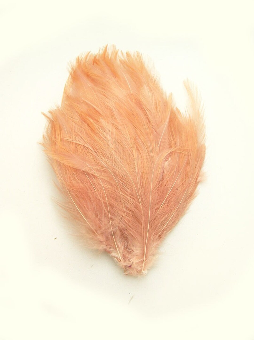 CHAMPAGNE Gold Feather Pad rooster Feather Applique for Millinery Hat ...