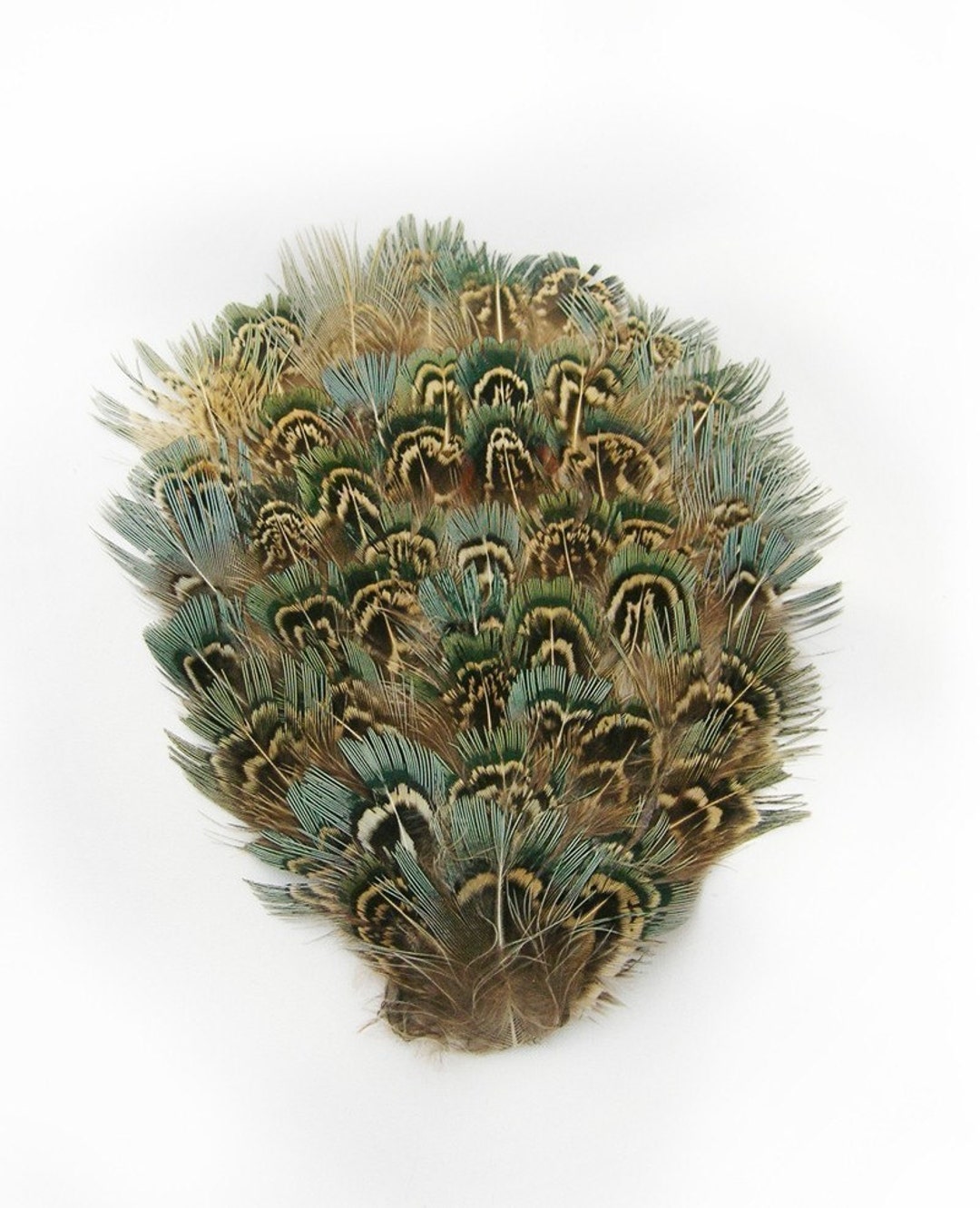 OASIS Blue Ringneck Feather Pad Applique. DIY Craft Item for Millinery ...