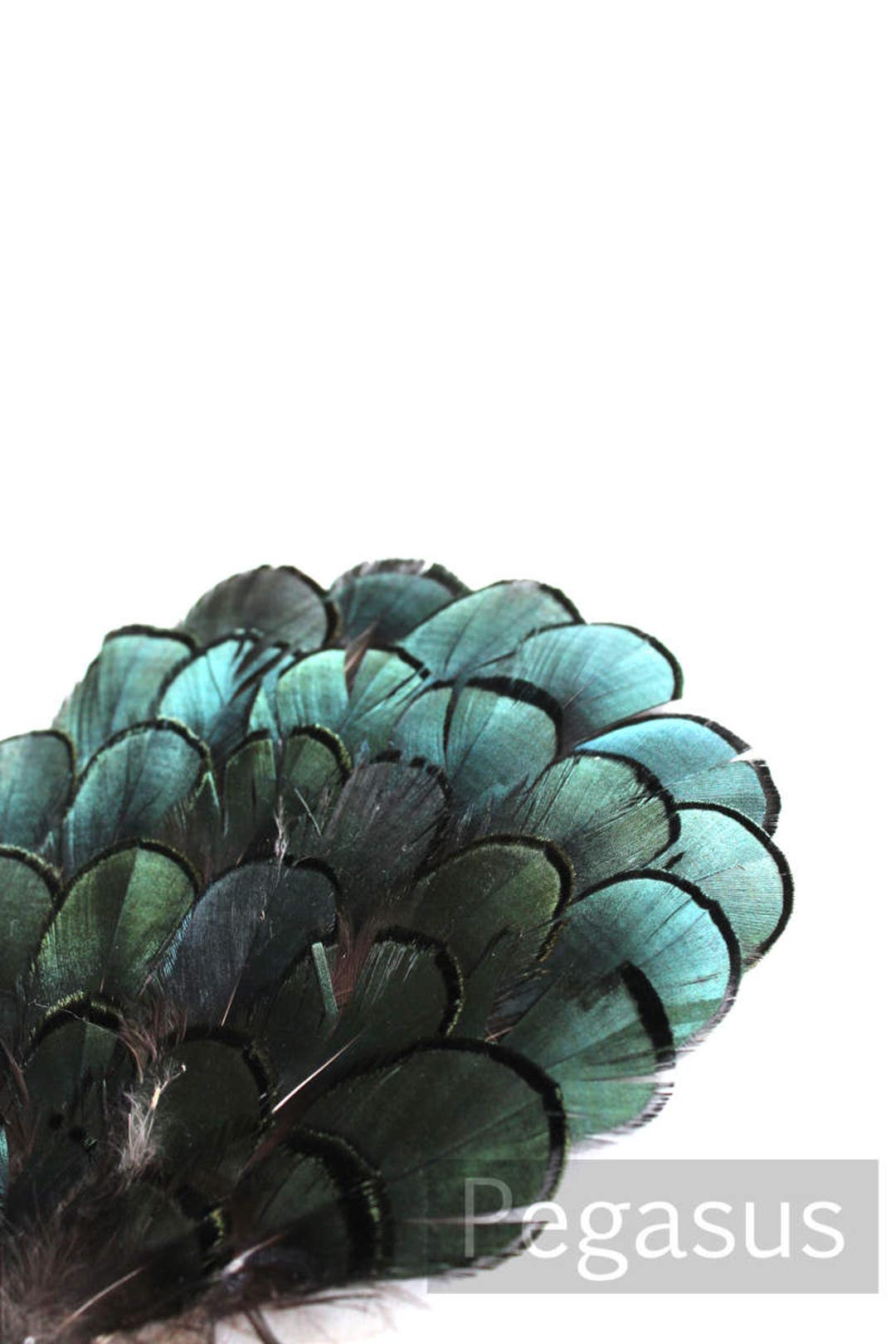 EMERALD GREEN Lady Amherst Iridescent Feather Pad Applique (3 Packages ...