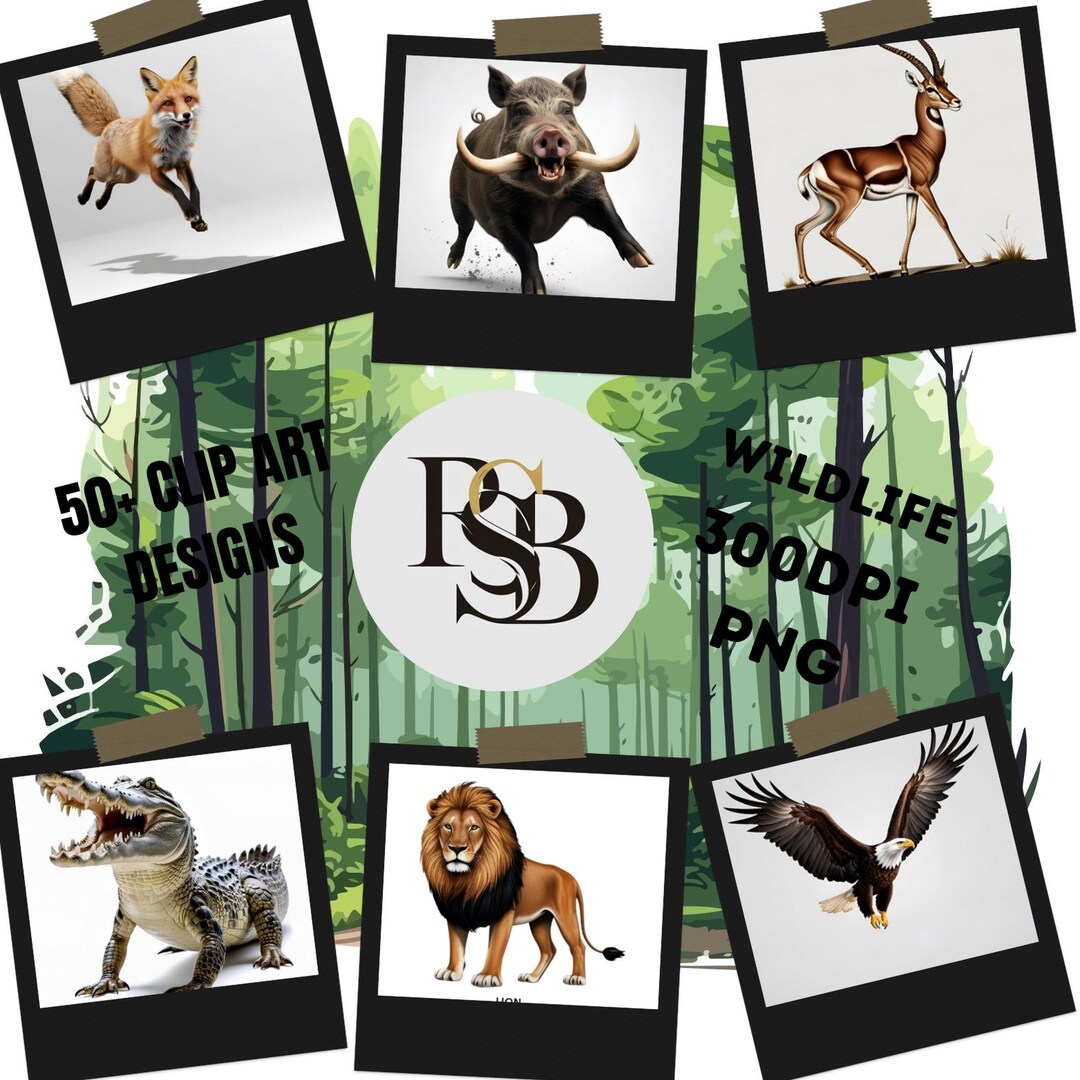 Wildlife Clipart PNG Bundle, Forest Animal Illustration, Jungle ...