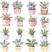 Watercolor Succulent Clipart, Botanical Clipart PNG Bundle , Succulent ...