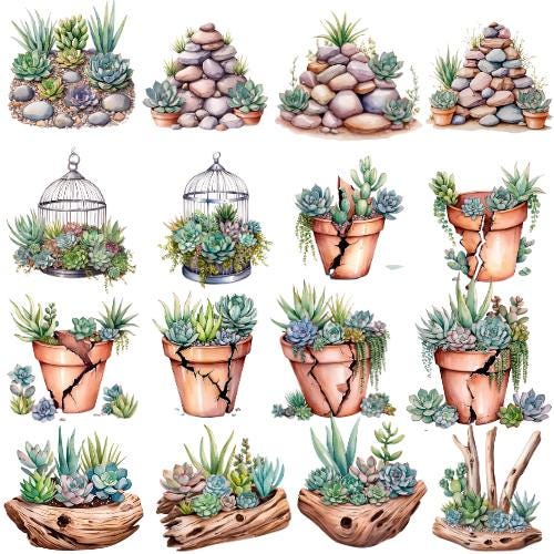 Watercolor Succulent Clipart, Botanical Clipart PNG Bundle , Succulent ...