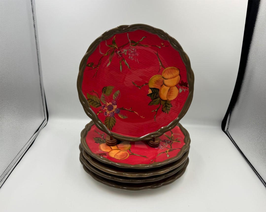 Set of 5 Tracy Porter OCTAVIA HILL GARDEN Dinner Plates - Etsy