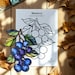 Blueberry Stained Glass Pattern, Blueberry Suncatcher, Fruits Stained ...