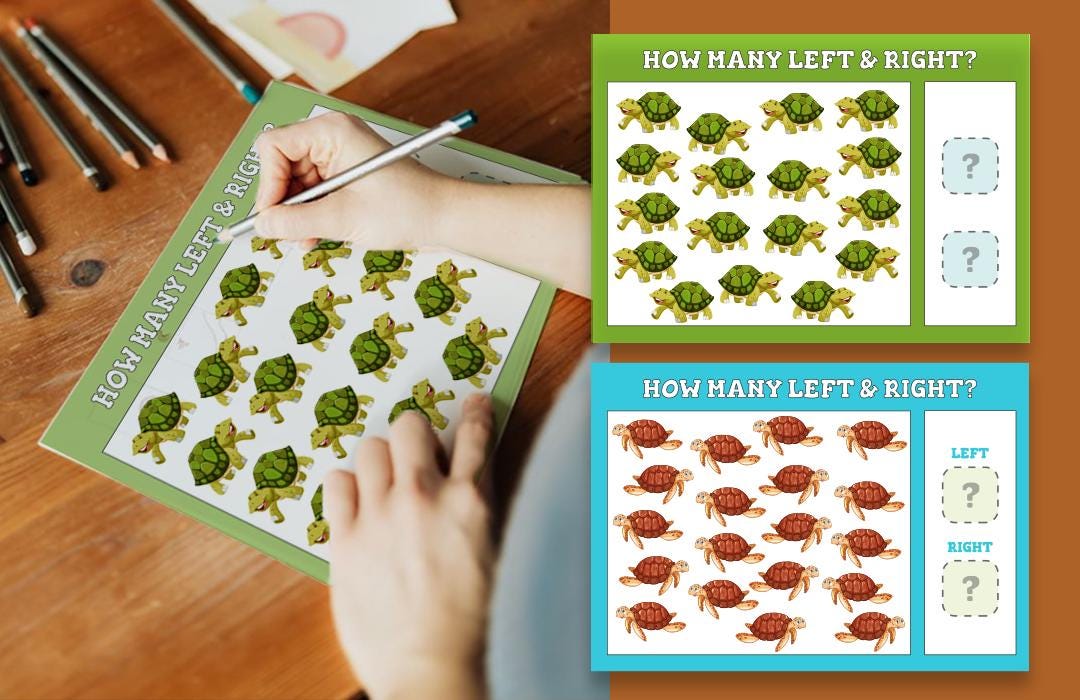 Left and Right Turtle Counting Worksheets for Kids - Printable PDF ...