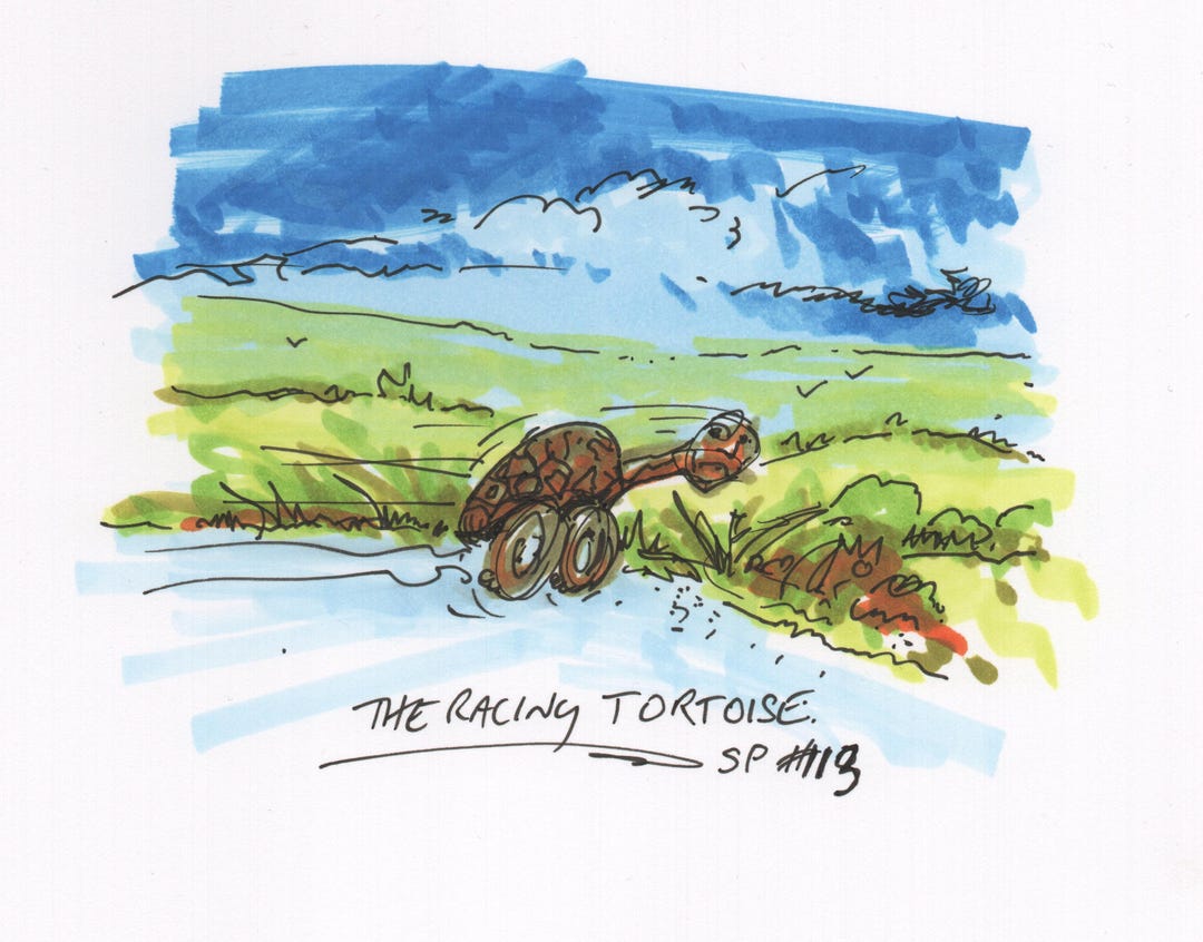 The Racing Tortoise (original Pen Drawing) - Etsy