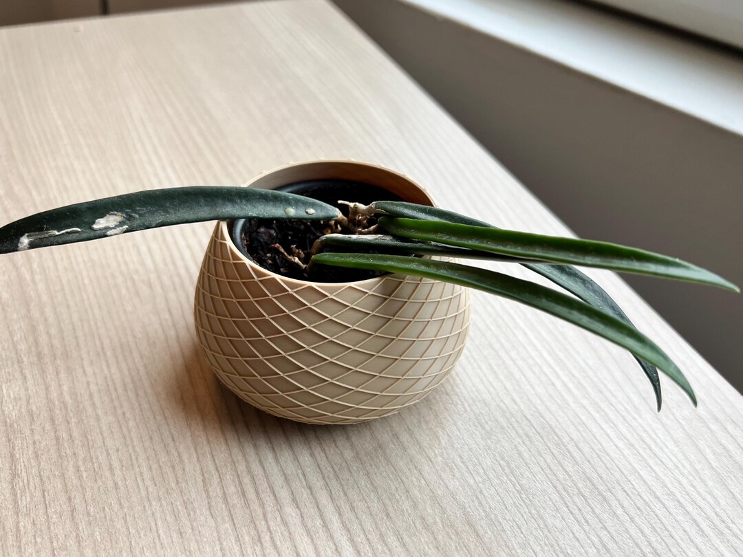 2" Double Spiral Design Indoor Plant Pot 3D Printed – Stylish Planter ...