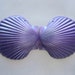 Custom Mermaid Seashell Bra Any Color MADE TO ORDER - Etsy
