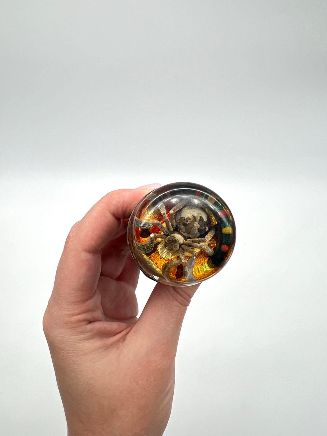 Shift Knob SPIDER Vintage Manual Transmission Shifter Knob Gear Lever ...