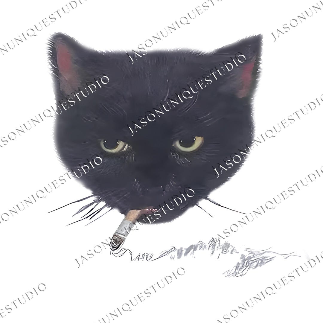 Funny Smoking Cat Meme Png, Cigarette Gen Z Joke Digital Download ...