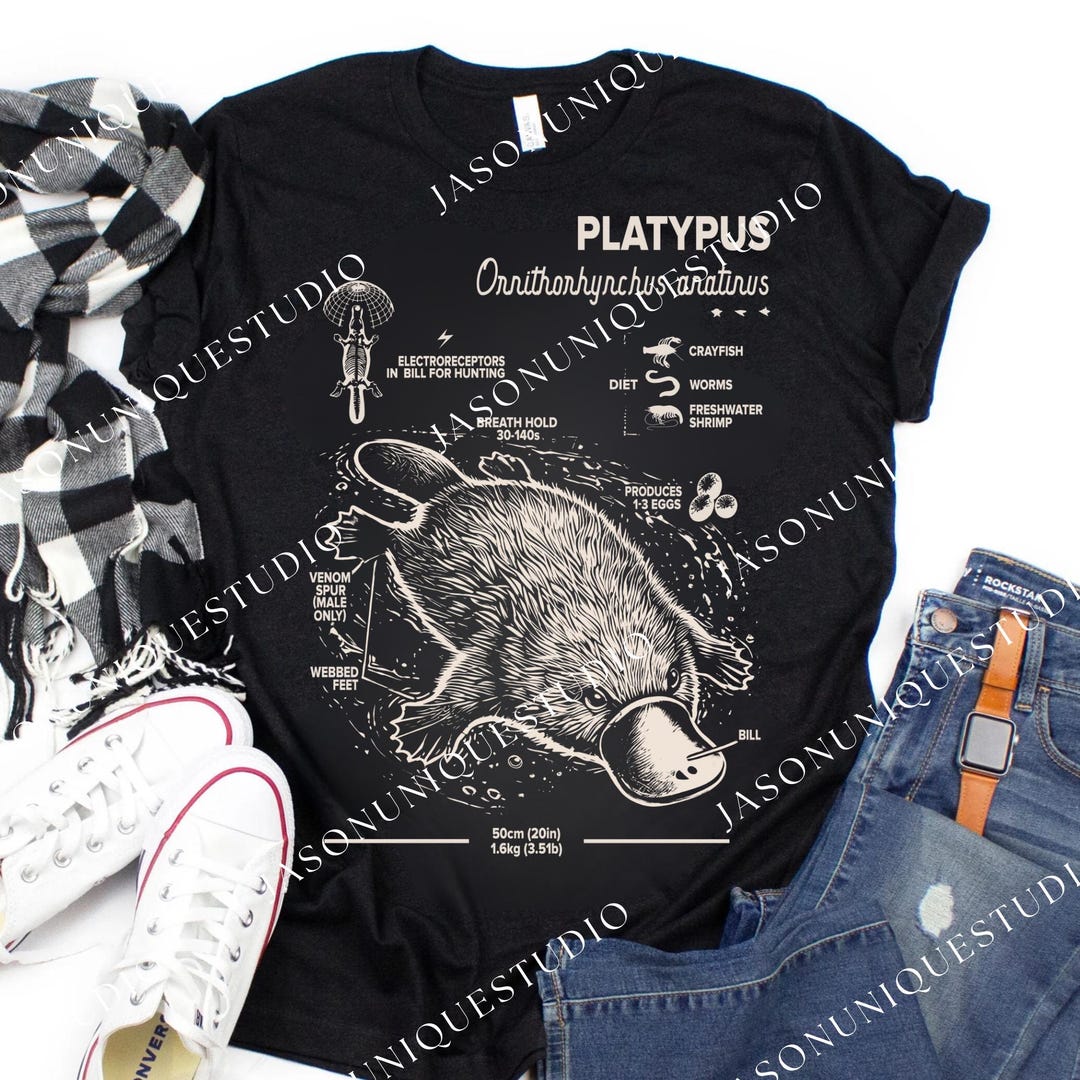 Platypus Anatomy Png SVG, Duck Billed Platypus PNG, Australian Wildlife ...