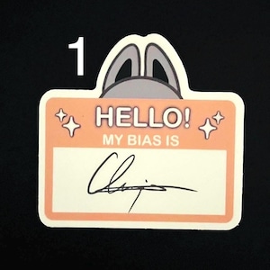 Stray Kids K Pop Skzoo Autograph Bias Vinyl Stickers Gifts for Fans of ...