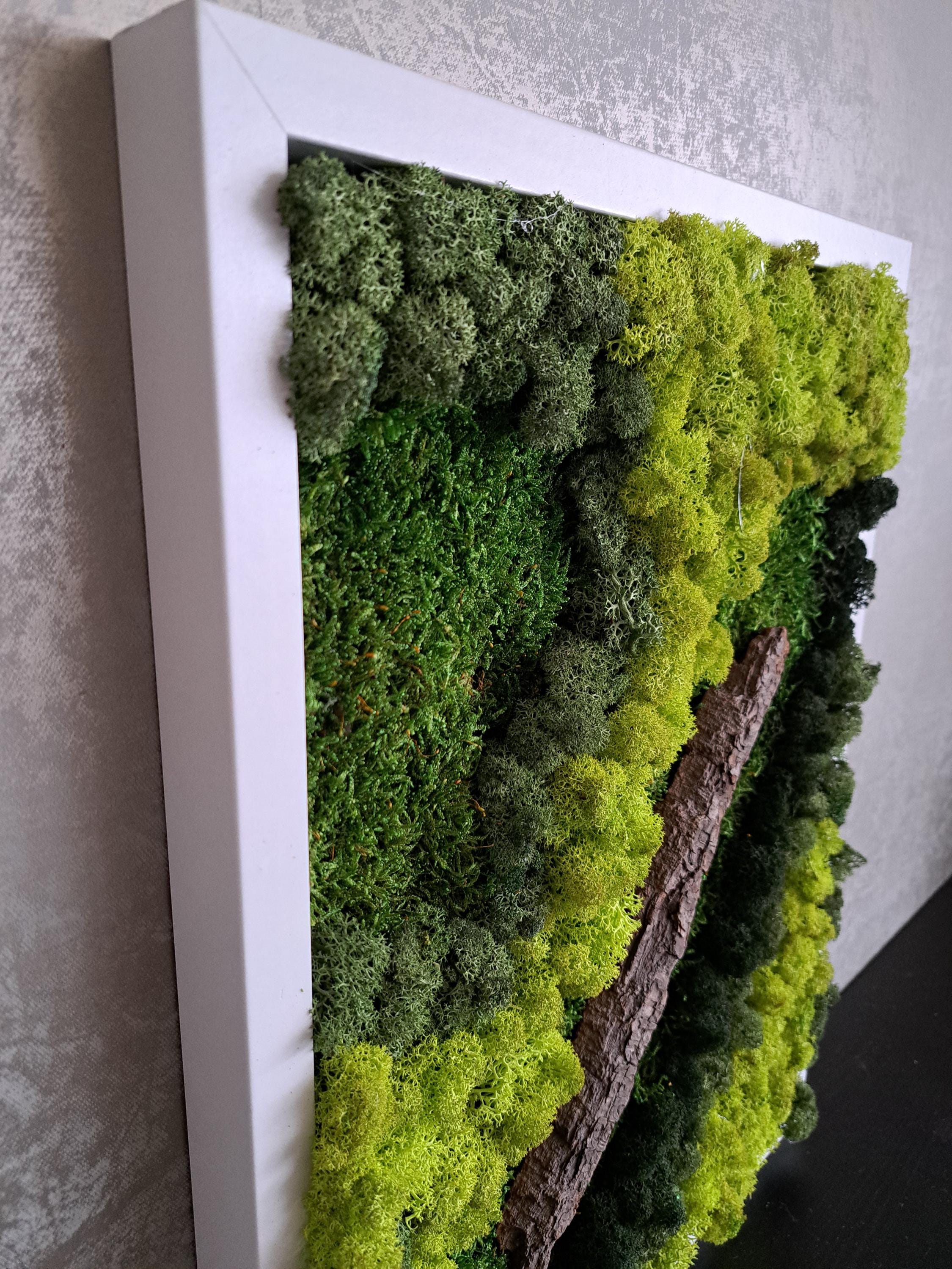 Green Wall Art - Preserved MOSS WALL ART - Wall Art Installation - Moss ...