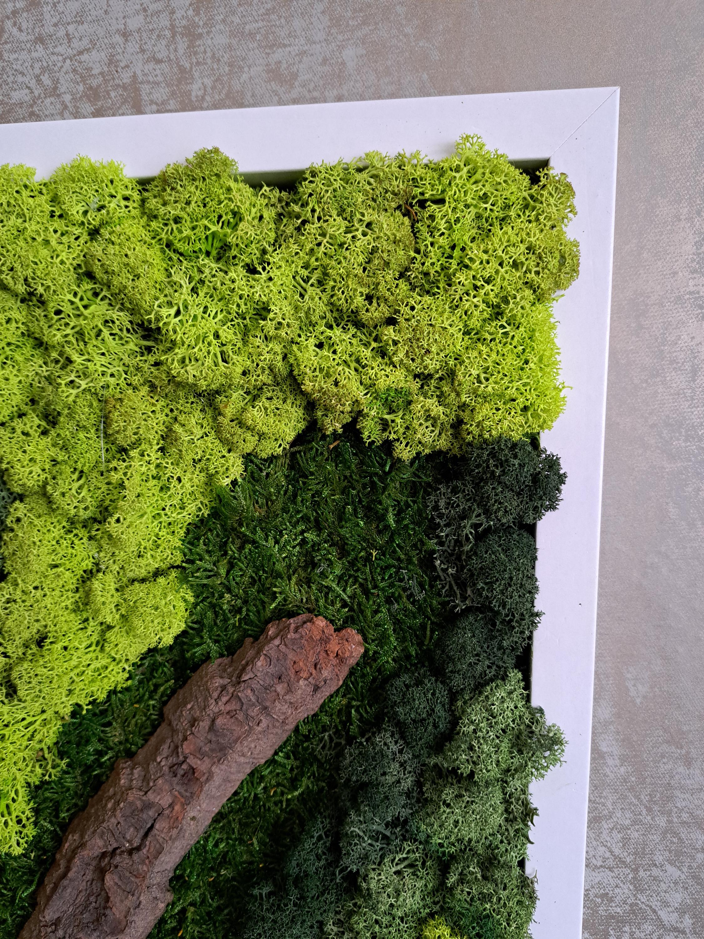 Green Wall Art - Preserved MOSS WALL ART - Wall Art Installation - Moss ...