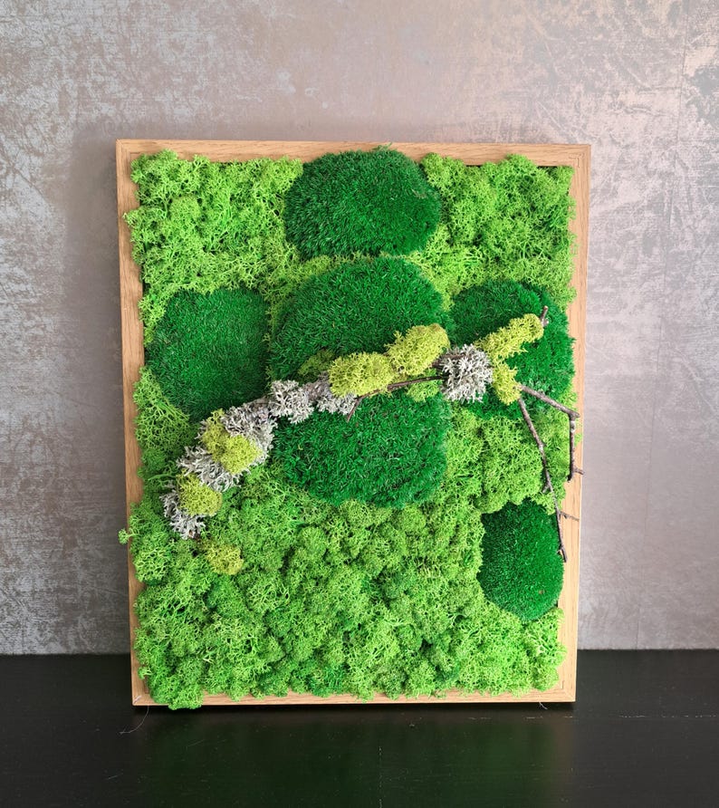 Green Wall Art - Preserved MOSS WALL ART - Wall Art Installation - Moss ...