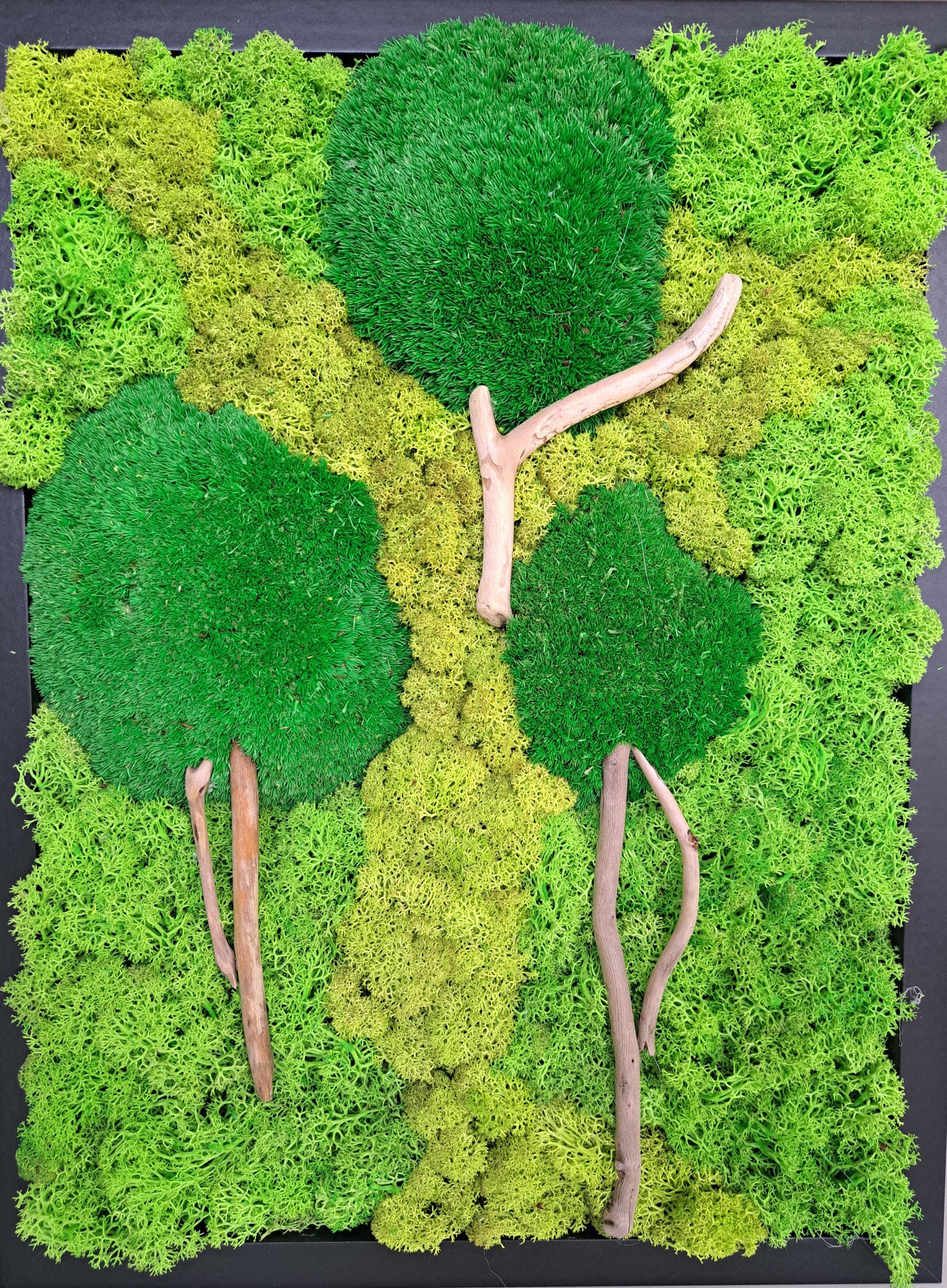 Preserved Moss Wall Art: Green Wall Decor Installation - Etsy