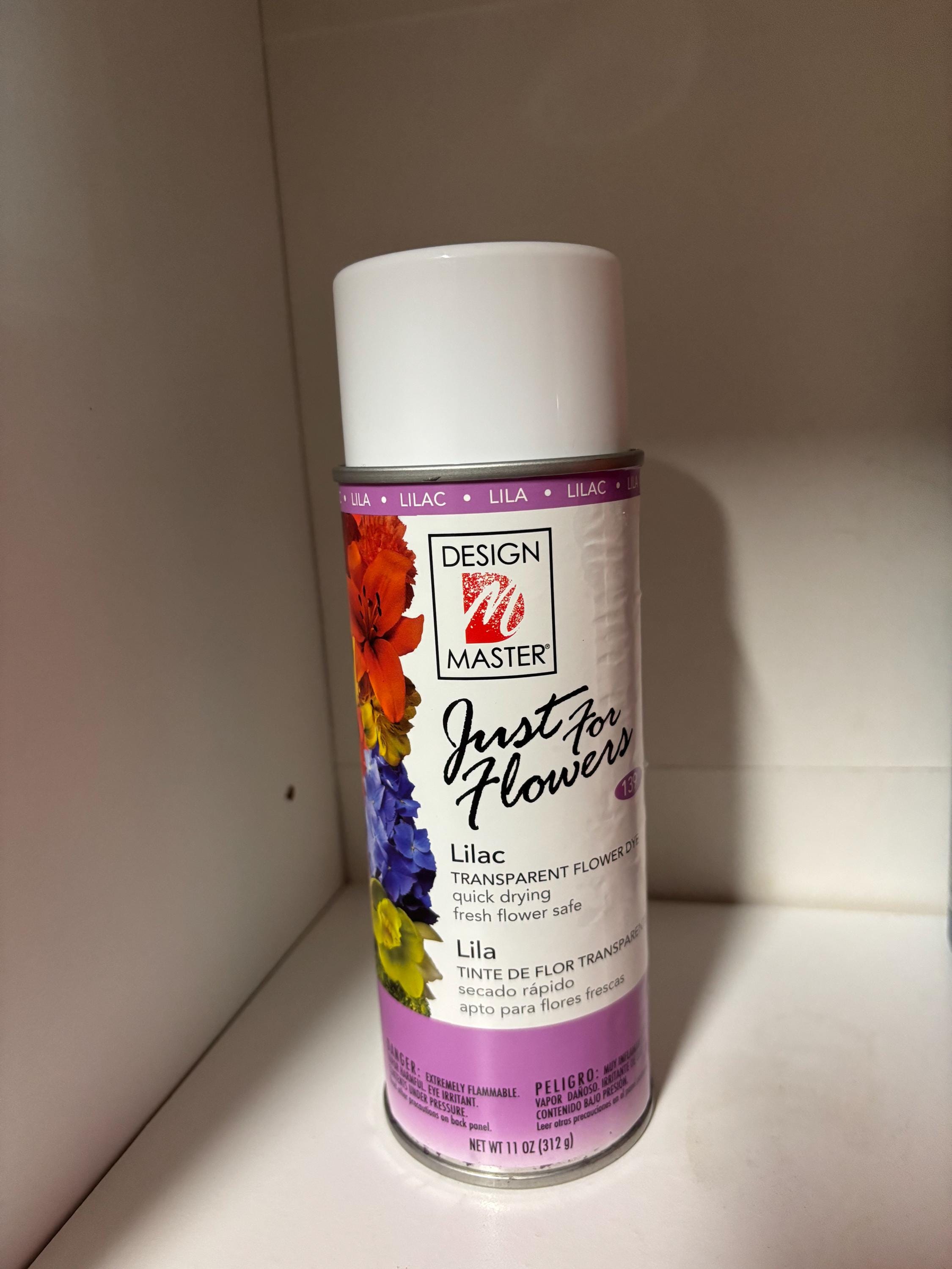 Design Master Spray Paint - Etsy