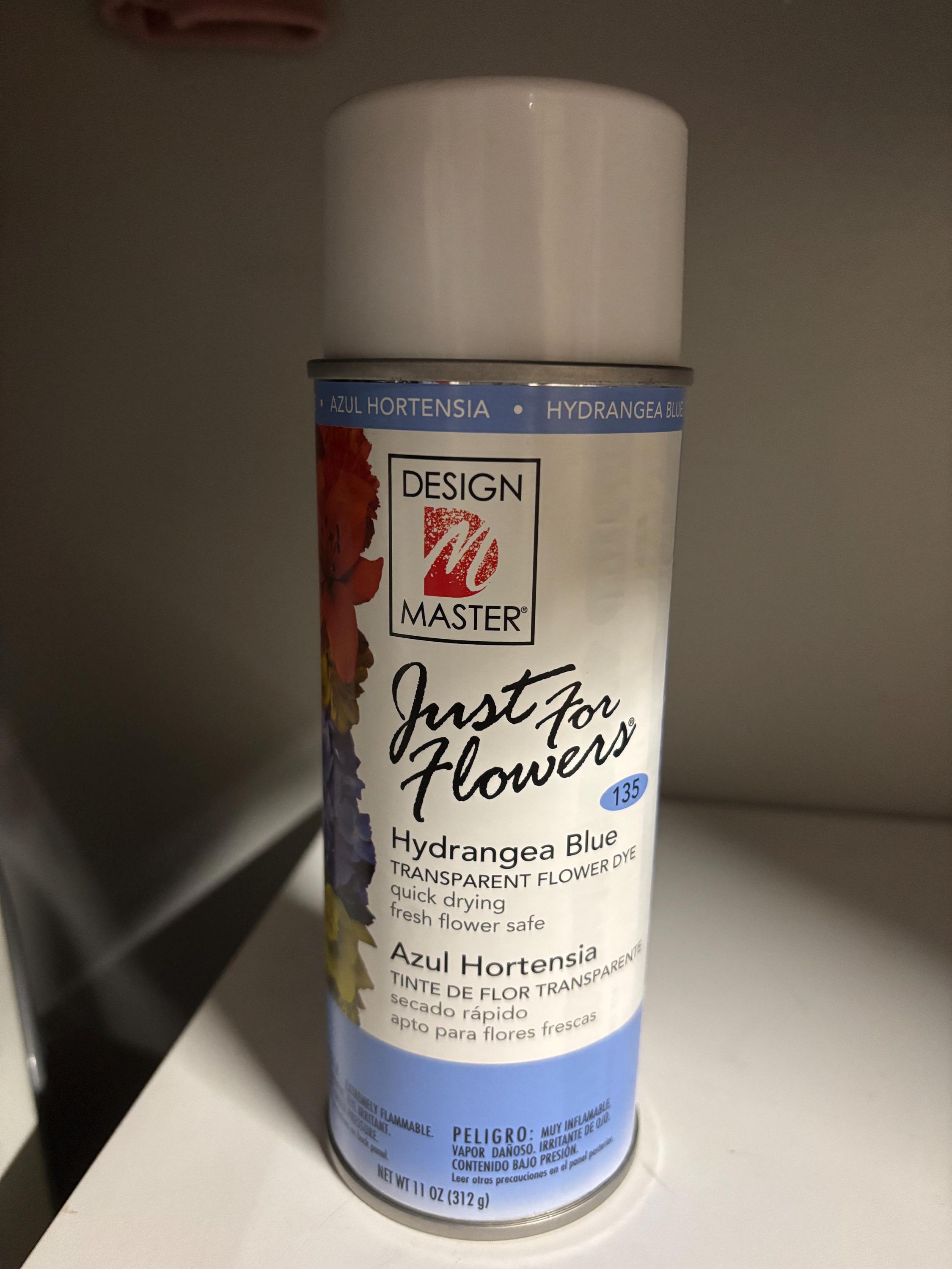 Design Master Spray Paint - Etsy