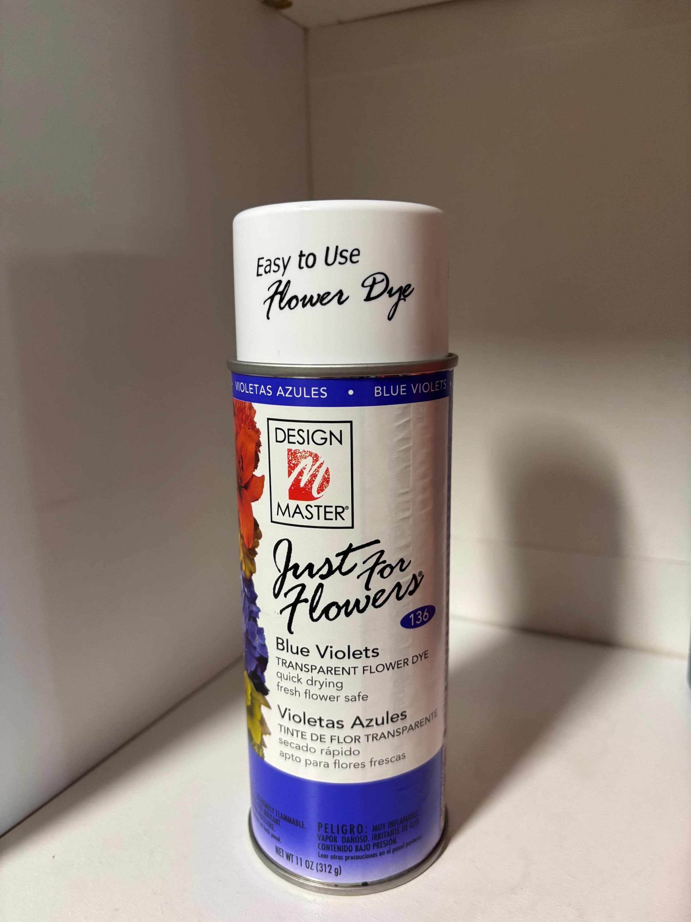 Design Master Spray Paint - Etsy