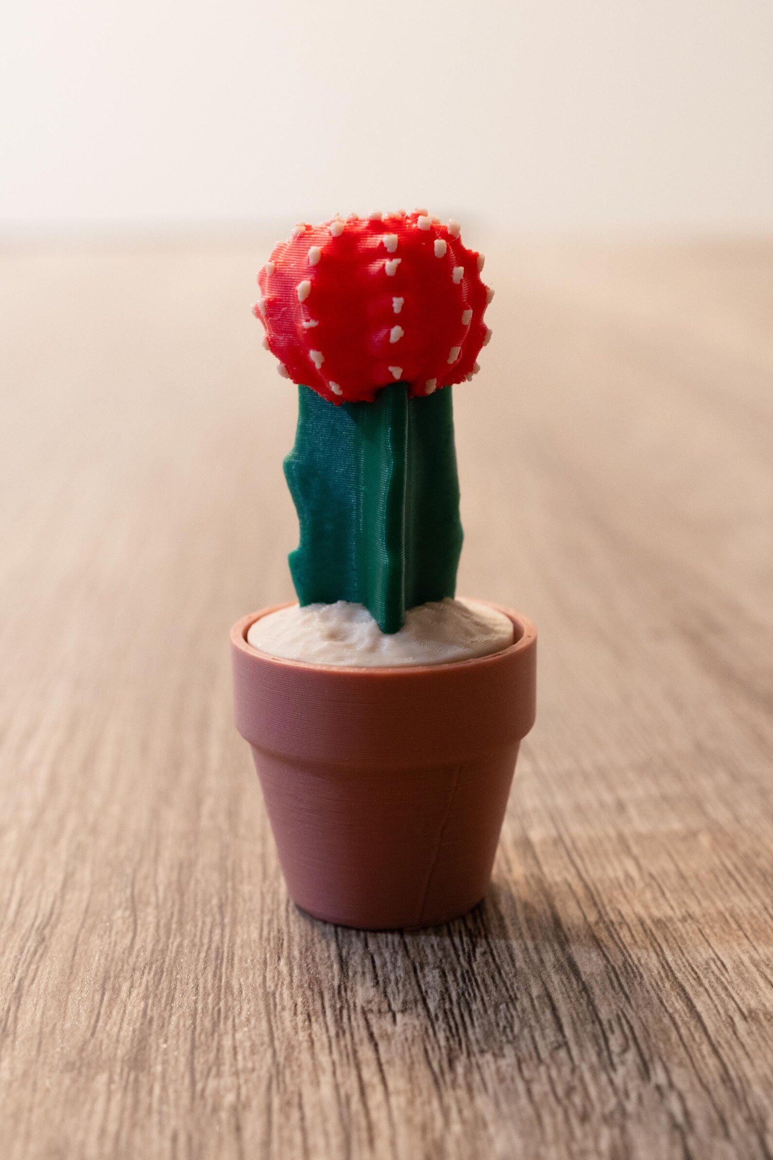 Clicky Fidget Cactus - Etsy