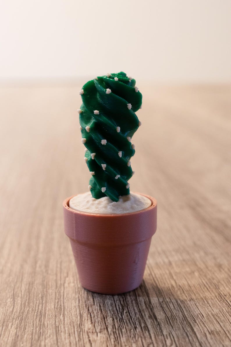 Clicky Fidget Cactus - Etsy