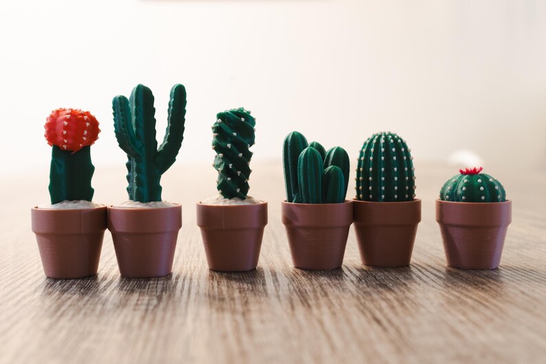 Clicky Fidget Cactus - Etsy