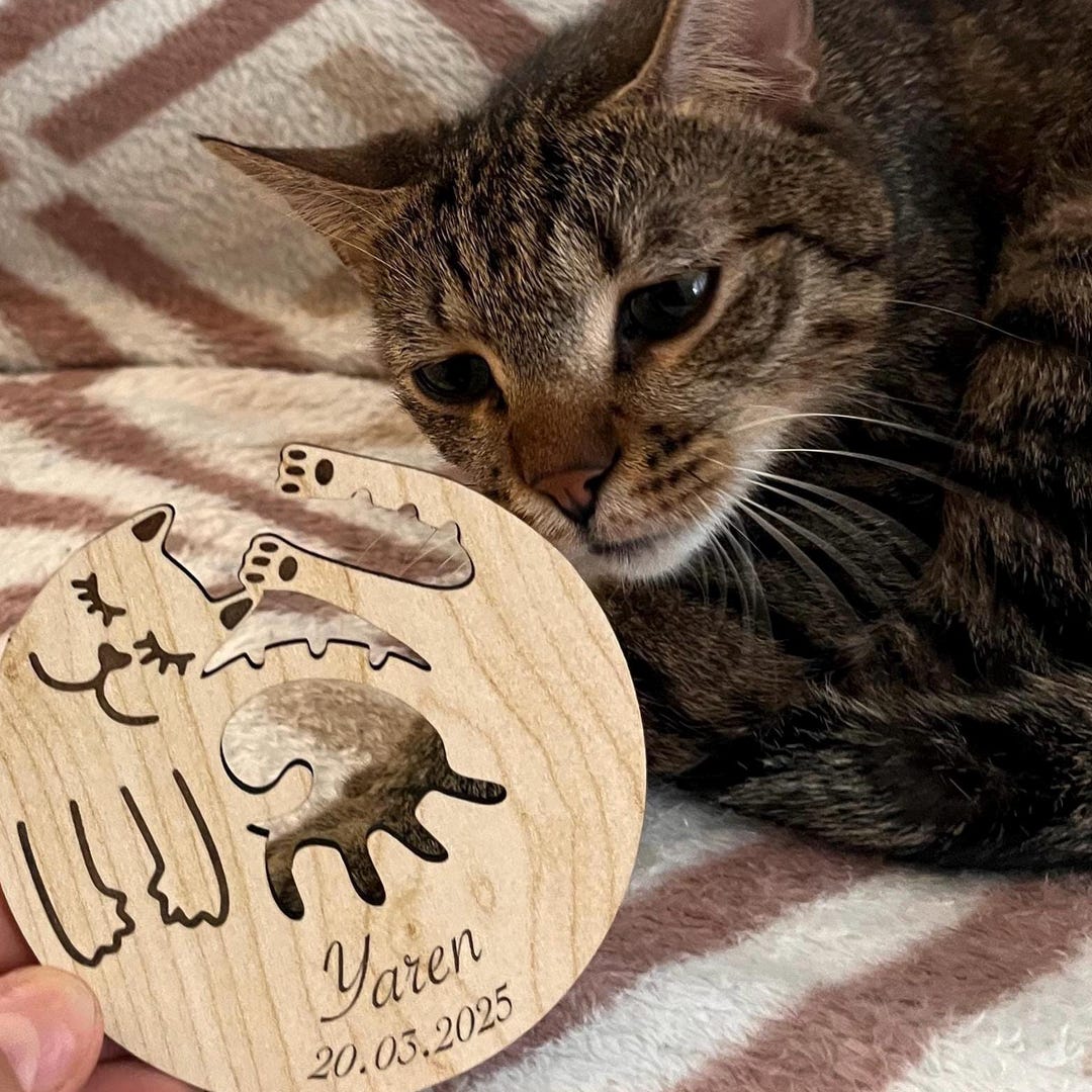 Funny Cat Coaster Laser Cut File: AI SVG DXF (digital File) - Etsy