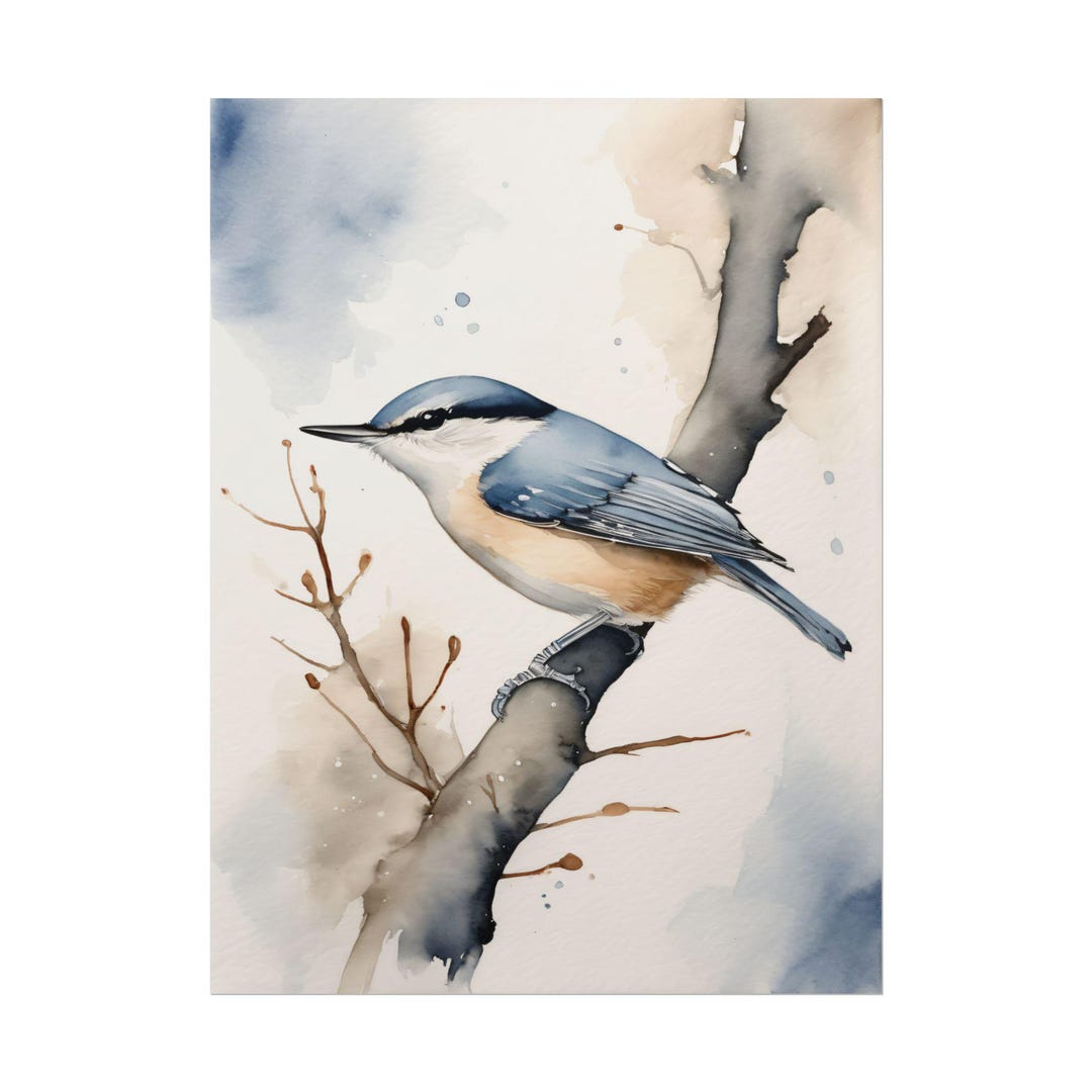 Nuthatch Watercolor Art Print, Bird Painting Wall Decor, Woodland Bird ...