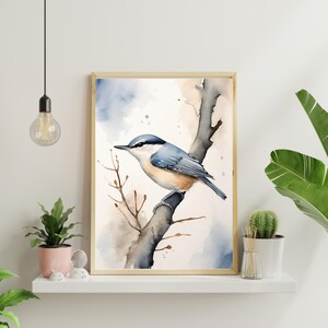 Nuthatch Watercolor Art Print, Bird Painting Wall Decor, Woodland Bird ...