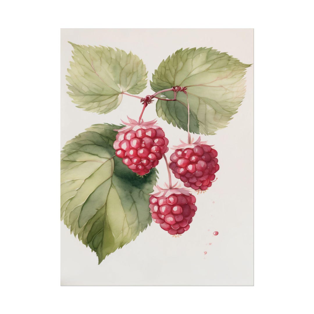 Raspberry Watercolor Art Print, Fruit Painting Kitchen Wall Decor ...